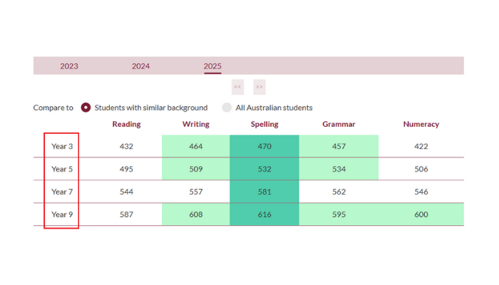 NAPLAN Scores Explained: Reading Your School’s 2025 Results